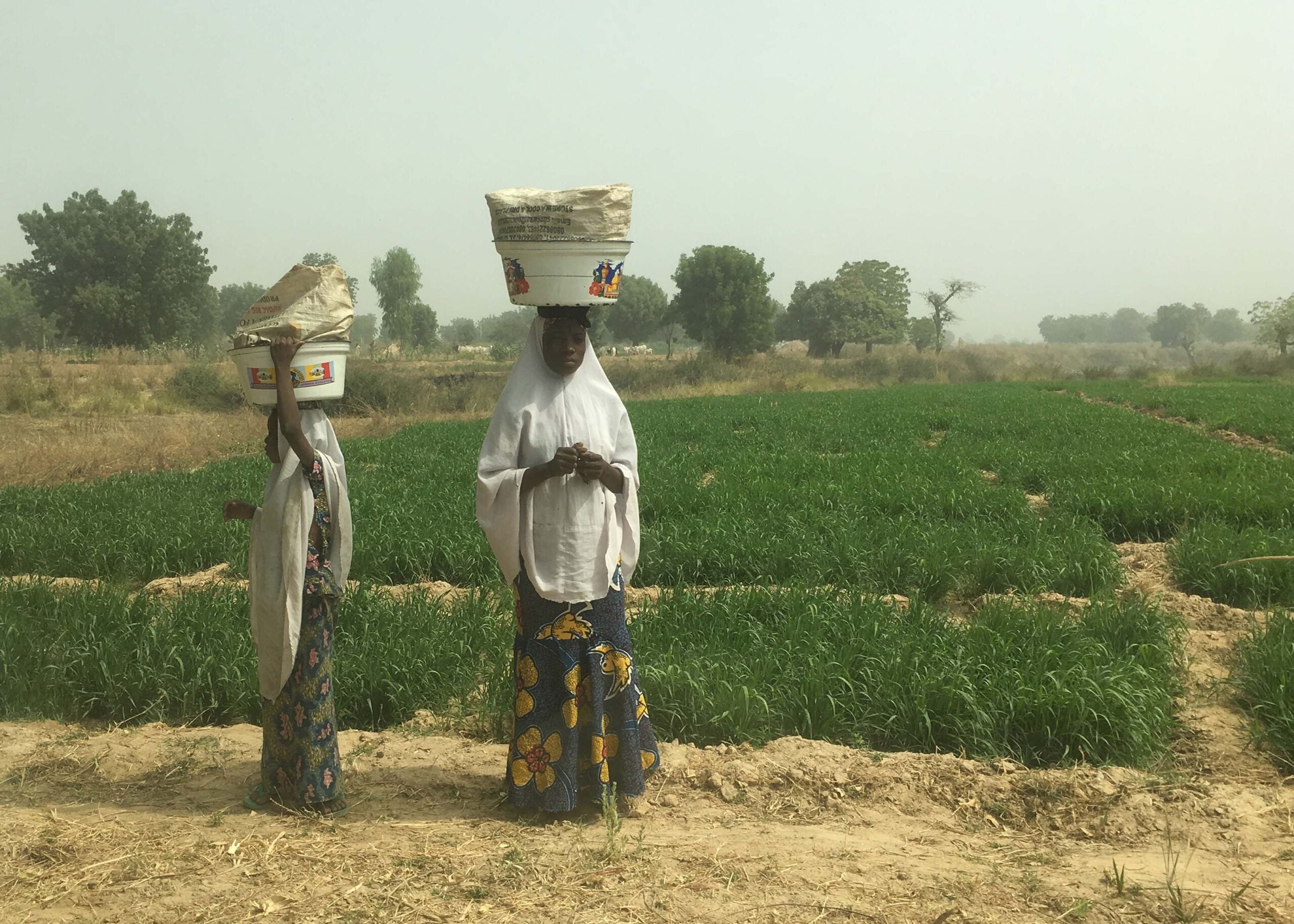 Food security in Northern Nigeria - Kofi Annan Foundation